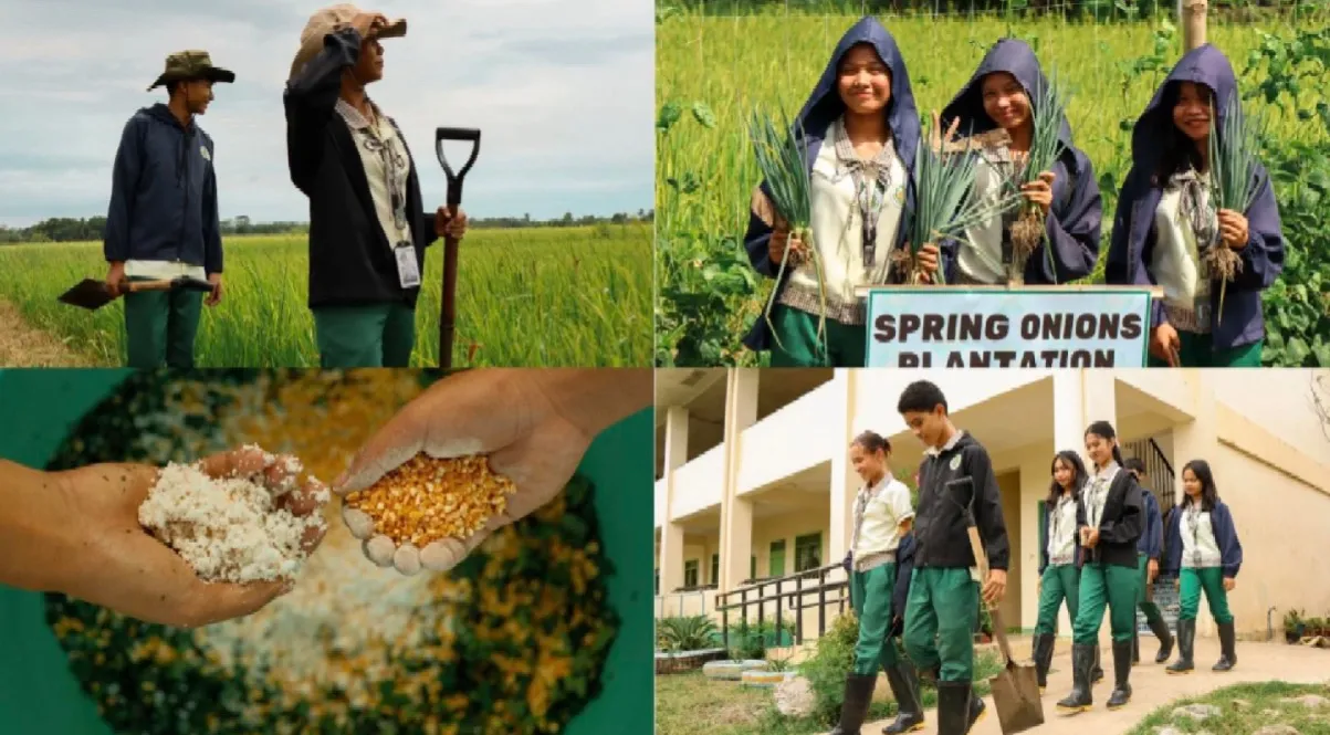 DepEd Strengthens Nutrition Education Through Gulayan Sa Paaralan And ...